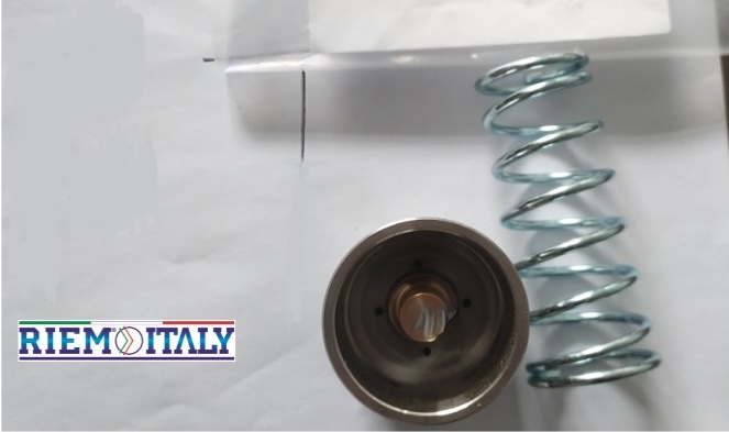 THERMOSTATIC VALVE 40 C. - Riem International